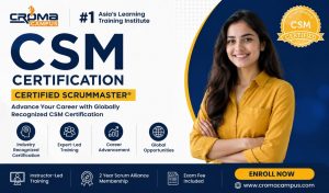 Lifecycle Ownership in CSM Certification Explained